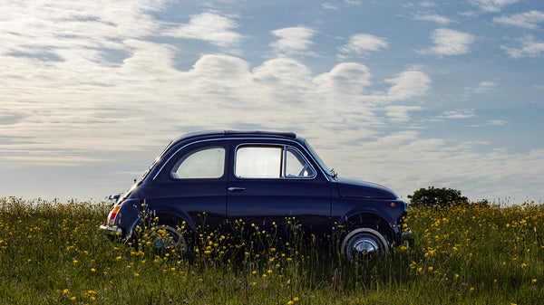 Fabulous Fiat Facing Forward - Madeleine Cardozo